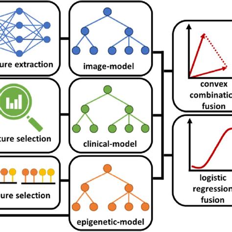 Schematic Diagram Of The Multimodal Classifier A Separate Random
