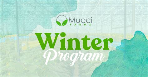 Mucci Farms Stephen Cowan Details Cutecumber™ Poppers Program Growth Andnowuknow