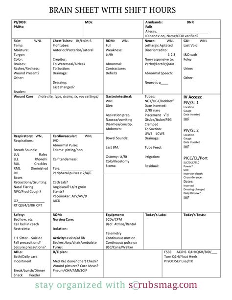 Icu Brain Sheet