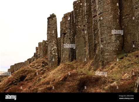 Gerðubergis A Dolerite Cliff A Coarse Grained Basalt Rock Located On The Western Peninsula Of