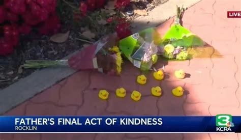 Dad Tragically Killed While Helping Ducklings Cross Road In Front Of