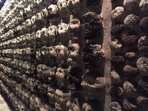 Aztec Skull Rack Discovery