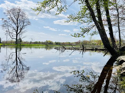 Mere Conservationism Casting Across