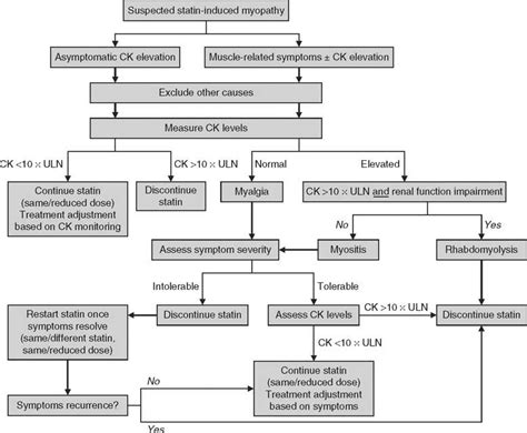 Risk Factors And Drug Interactions Predisposing To Statin Induced