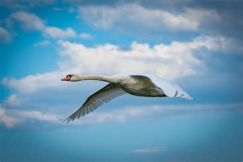 Mark Schieber Fotos And Bilder Fotograf Aus Nalbach Deutschland Fotocommunity