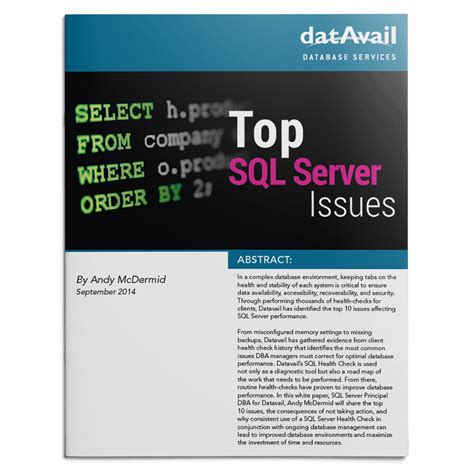Top SQL Server Issues Database Management White Paper