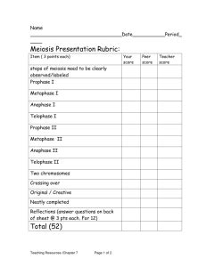Snurfle Meiosis Worksheet