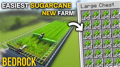 How To Make A Sugarcane Farm In Minecraft Bedrock