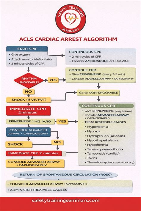 Acls Cardiac Arrest Algorithm Safety Training Seminars