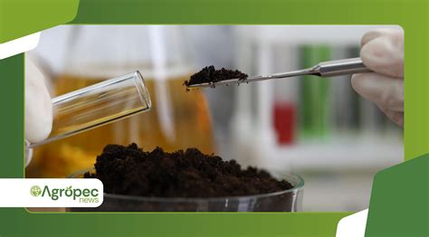 A Importância Do Ph Do Solo No Sucesso Da Produção Agrícola