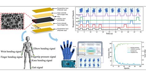 Wearable And Cost Effective Pressure Sensor Based On A Carbon Nanotubepolyurethane Sponge For