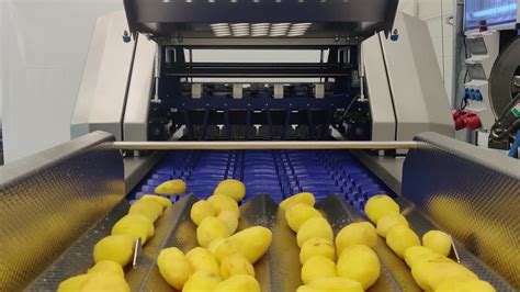 Video Sormac Vegetable Processing Equipment On Linkedin Sormac