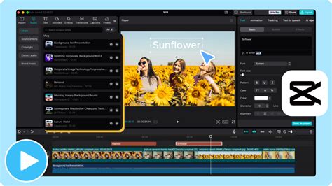 CapCut Tutorial for Beginners | A Simple Guide To Making Quality Content