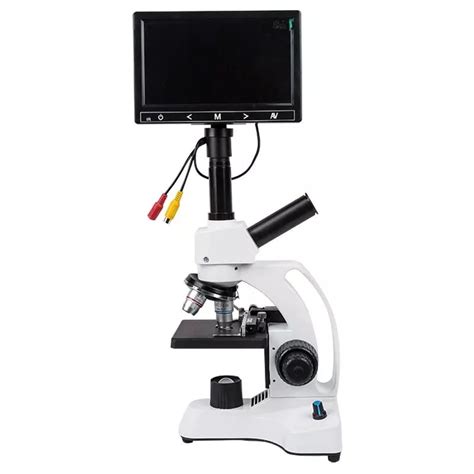 Sperm Microscope 40x
