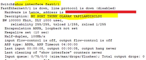 Cisco Cihazlarda Interface Altına Açıklama Ekleme Bilgialnet