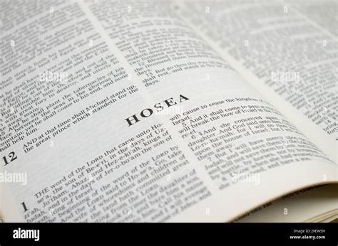 Title Page For The Book Of Hosea In The Bible King James Version