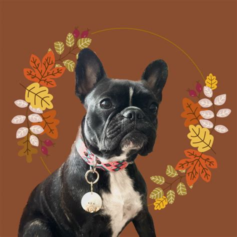 Ava — Bio Site