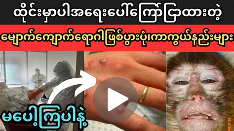 ထိုင်းမှာပါအရေးပေါ်ကြော်ငြာထားတဲ့မျောက် ကျောက်ရော ဂါ ဖြစ်ပွားပုံ Youtube