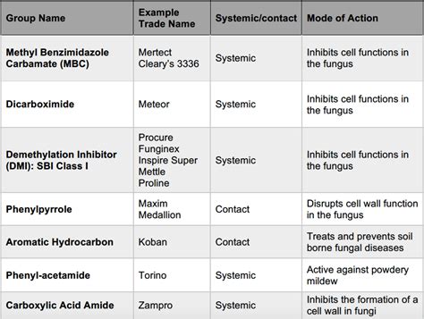 When To Apply Fungicide On Lawns Experts Weigh In Abc Blog