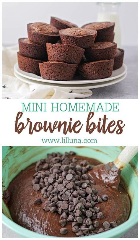 Brownie Bites Mini Chewy Fudgy Lil Luna