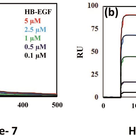 Spr Binding Analysis For The Interaction Between The Hb Egf And A Hs