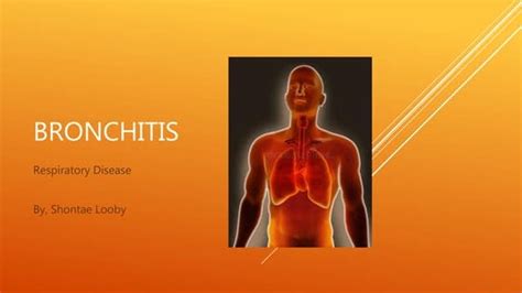 Bronchitispptx Lung And Respiratory Health Diseases And Conditions