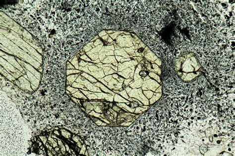 Clinopyroxene Thin Section Xpl
