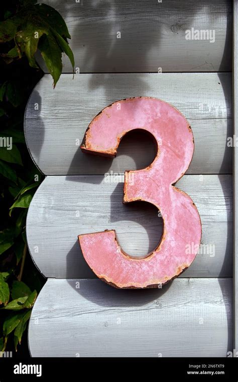 Pink Number 3