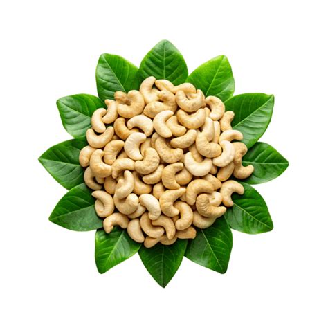 Cashew Pngs For Free Download