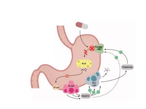 Drug Modificationpptx