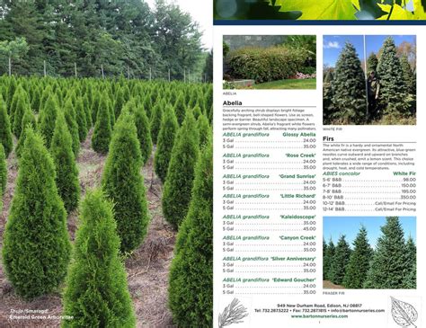 Tree Nursery Catalog Designer