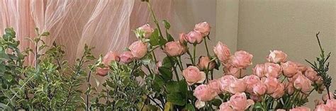 Banner Flower Header Flower Aesthetic Twitter Header Pink