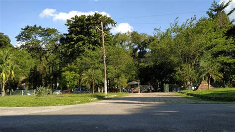 Thidril User Profile Deviantart