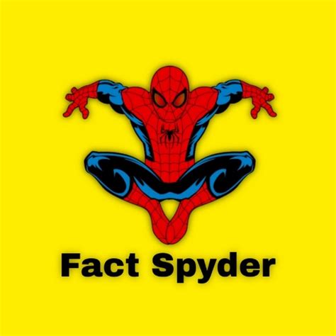Fact Spyder Youtube