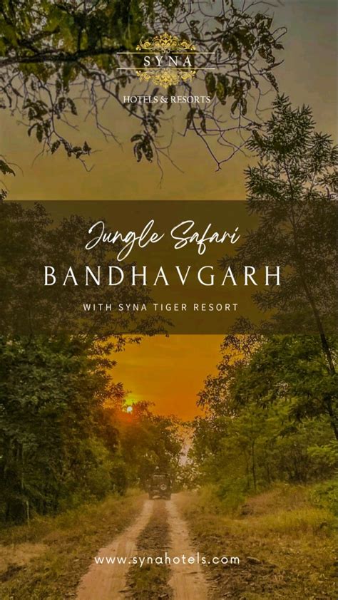 Prashant Bajpai On Linkedin Experience Wilderness Safari Tiger