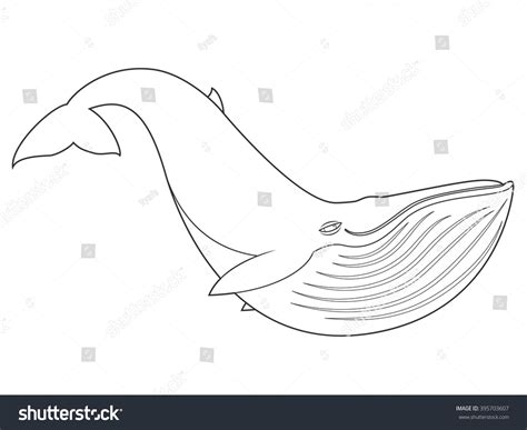 Vector Illustration Blue Whale On White Stock Vector Royalty Free