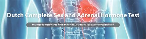 Sex And Adrenal Hormone Test Florida Pharmacy