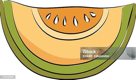 Ikon Vektor Sketsa Berwarna Melon Ilustrasi Stok Unduh Gambar