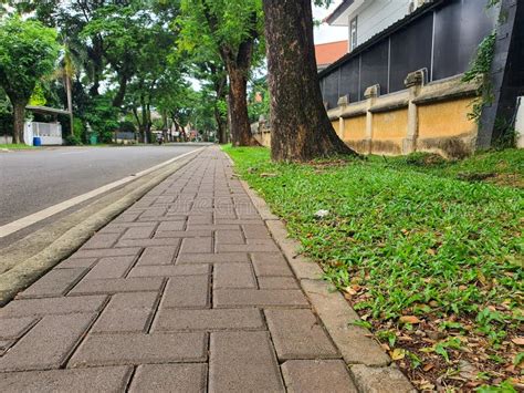 Exploring A Tree Lined Street Sidewalk Pavement And Lush Green Grass
