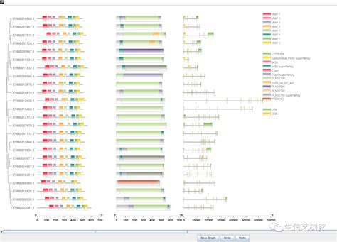 Tbtools 基因家族分析 进化树、motifs、结构域 知乎