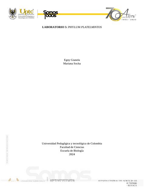 Laboratorio 5 Phylum Platelmintos Pdf Biología