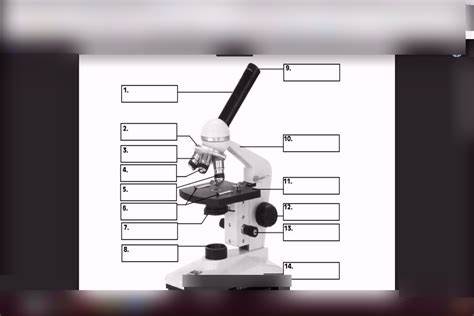 Microscope Labeling Part 1 Diagram Quizlet
