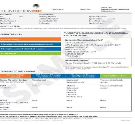 Foundationone Cancer Test At ₹ 300000unit Parel Mumbai Id