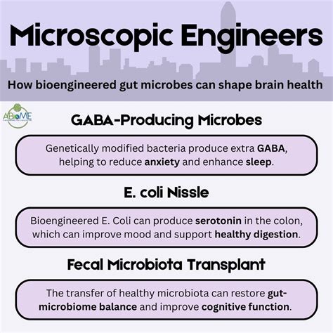 Microbiome Engineering Advances For Gut And Brain Health A Biome Posted On The Topic Linkedin