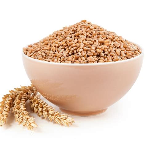 Wheat Processor In India