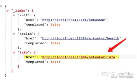如何在 Spring Boot 应用程序中使用 Actuator 监控和管理端点，提高应用程序的生产力？ 知乎