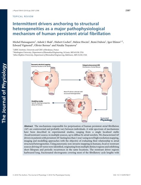 Pdf Intermittent Drivers Anchoring To Structural Heterogeneities As A Major Pathophysiologic