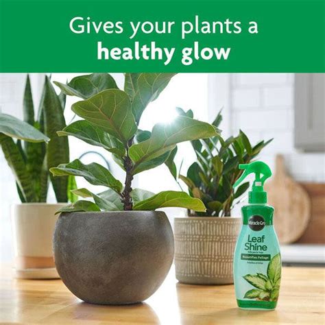 Miracle Gro® Leaf Shine 8 Oz