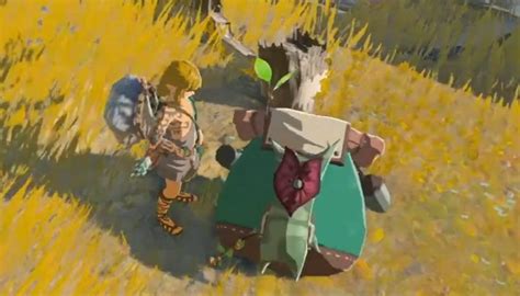 Guide How To Get The Well Worn Hair Band In The Legend Of Zelda