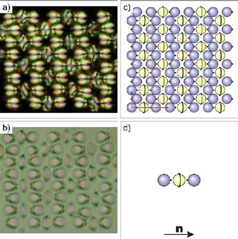 Figure 4 From Design Of 2d Binary Colloidal Crystals In A Nematic